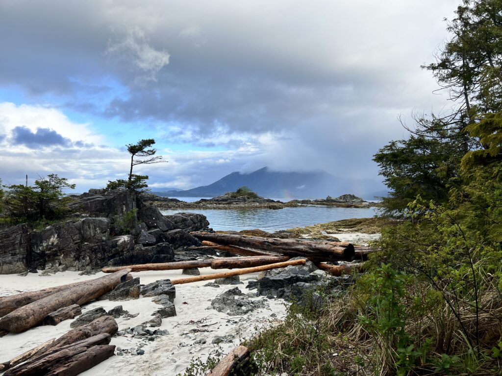 Paddle Canada Level 4 Sea Kayak Skills Course - Ontario Sea Kayak Centre